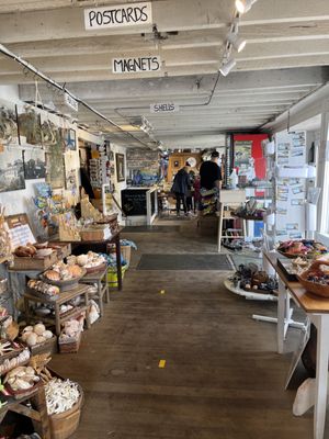 CAVE STORE - 976 Photos & 369 Reviews - 1325 Coast Blvd, La Jolla ...