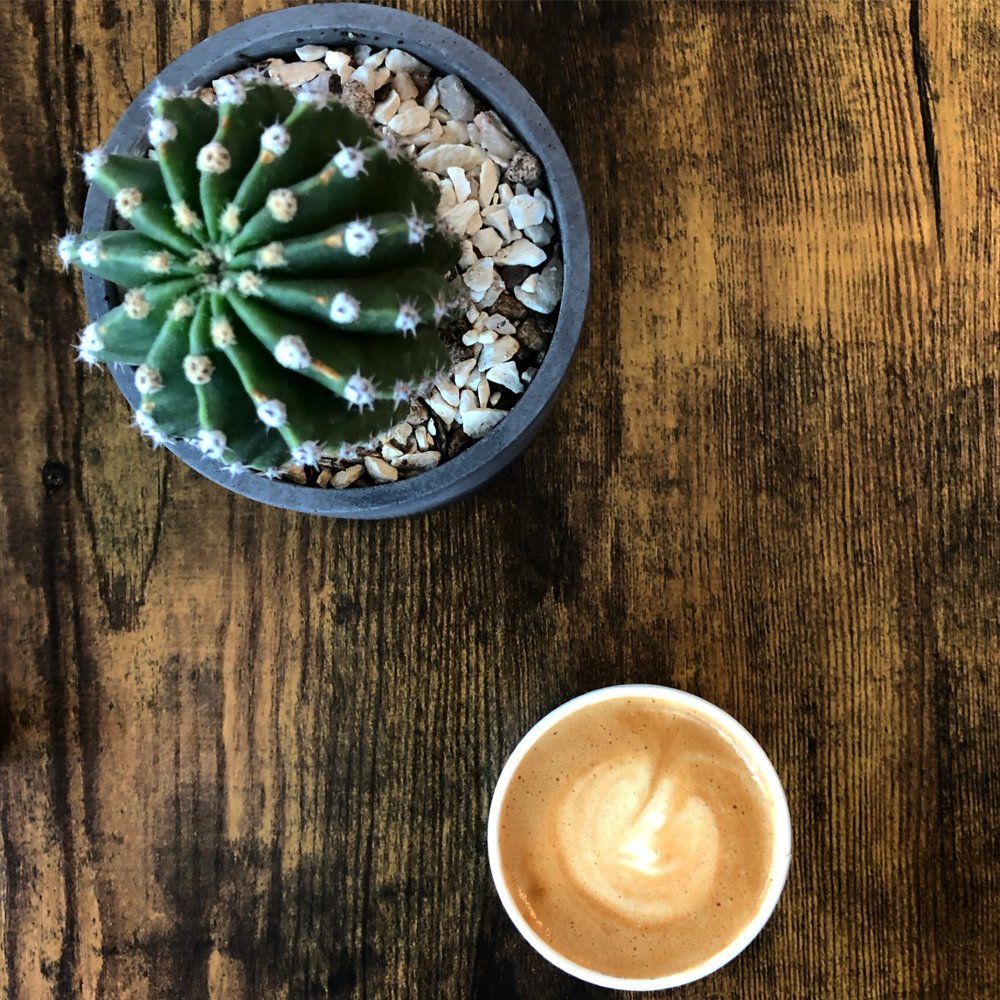 TAKE CARE COFFEE - 19 Photos - 2213 Poquito St, Austin, TX - Yelp