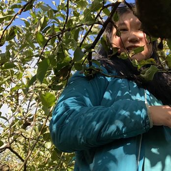 BJ REECE ORCHARDS - Updated September 2024 - 412 Photos & 178 Reviews ...