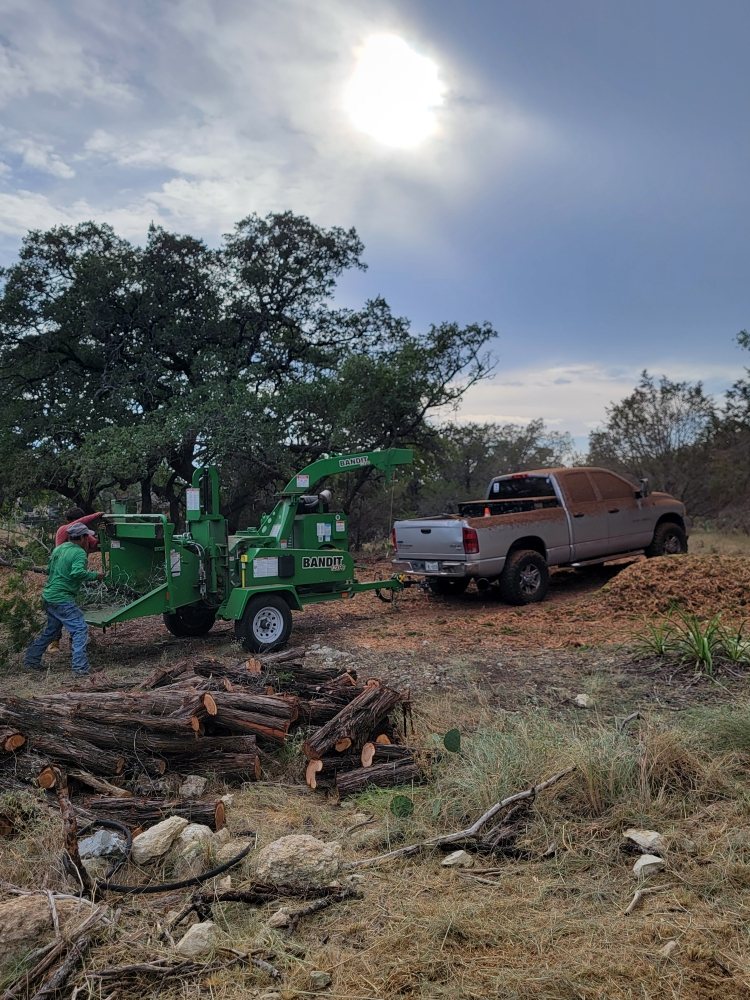 Tree Services: THREE BROTHERS TREE EXPERTS - Updated October 2024 - 31 ...