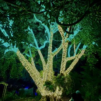 LIGHTSCAPE SAN DIEGO - Updated October 2025 - 250 Photos & 59 Reviews ...