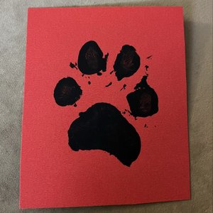 MONROE ROAD ANIMAL HOSPITAL - Updated September 2025 - 21 Photos & 68 ...