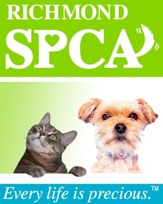 RICHMOND SPCA - 46 Photos & 53 Reviews - 2519 Hermitage Rd, Richmond ...