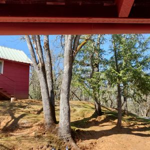 BURNEY FALLS RESORT - 38 Photos & 10 Reviews - 37985 Clark Creek Rd ...