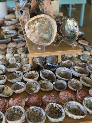 THE SHELL SHOP - 174 Photos & 121 Reviews - 590 Embarcadero, Morro Bay ...