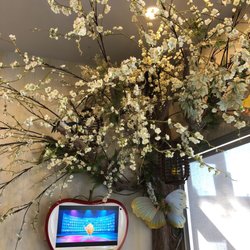 DAVID NIKFARJAM, DDS - 69 Photos & 189 Reviews - Pediatric Dentists ...