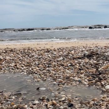 RUTHERFORD BEACH - Updated October 2025 - 69 Photos & 10 Reviews - 100 ...