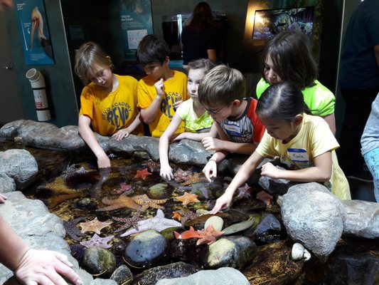 REVO ACADEMY - Updated January 2026 - 16 Photos & 26 Reviews - 1250 ...