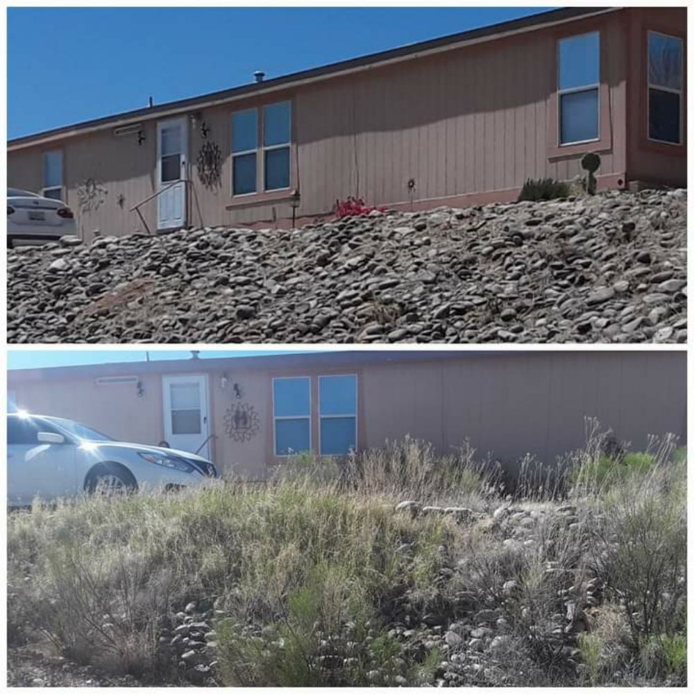 DYNAMIC YARD CLEAN UP AND MAINTENANCE - Updated July 2025 - Request a ...