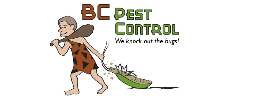 BC PEST CONTROL - Updated August 2024 - Leander, Texas - Pest Control ...