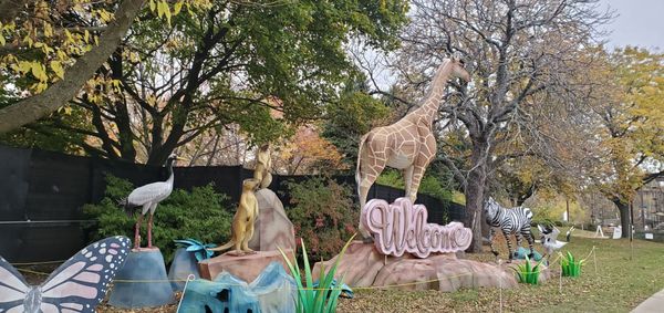 RACINE ZOO - Updated September 2024 - 130 Photos & 77 Reviews - 2131 N ...