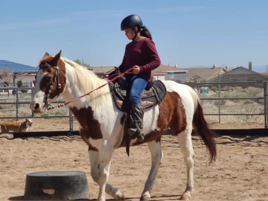 WILD WIND RANCH - Updated September 2024 - 19 Photos - 8871 Vincent Dr ...