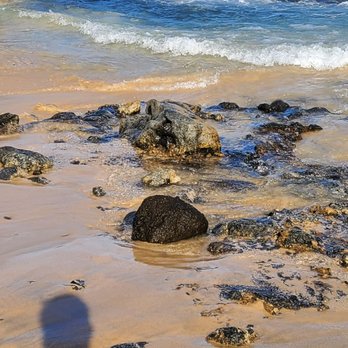 COCKROACH COVE - Updated September 2025 - 90 Photos & 25 Reviews - 8450 ...