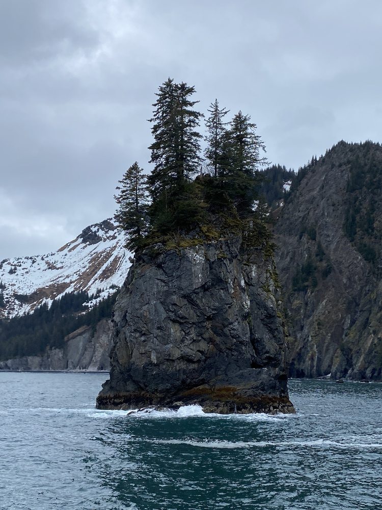 CAPE AIALIK - Updated May 2024 - Lowell Point, Alaska - Landmarks ...