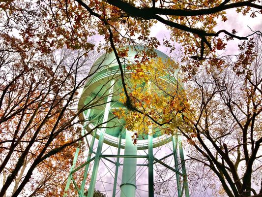 JACKSON ZOOLOGICAL PARK - Updated June 2024 - 92 Photos & 25 Reviews ...