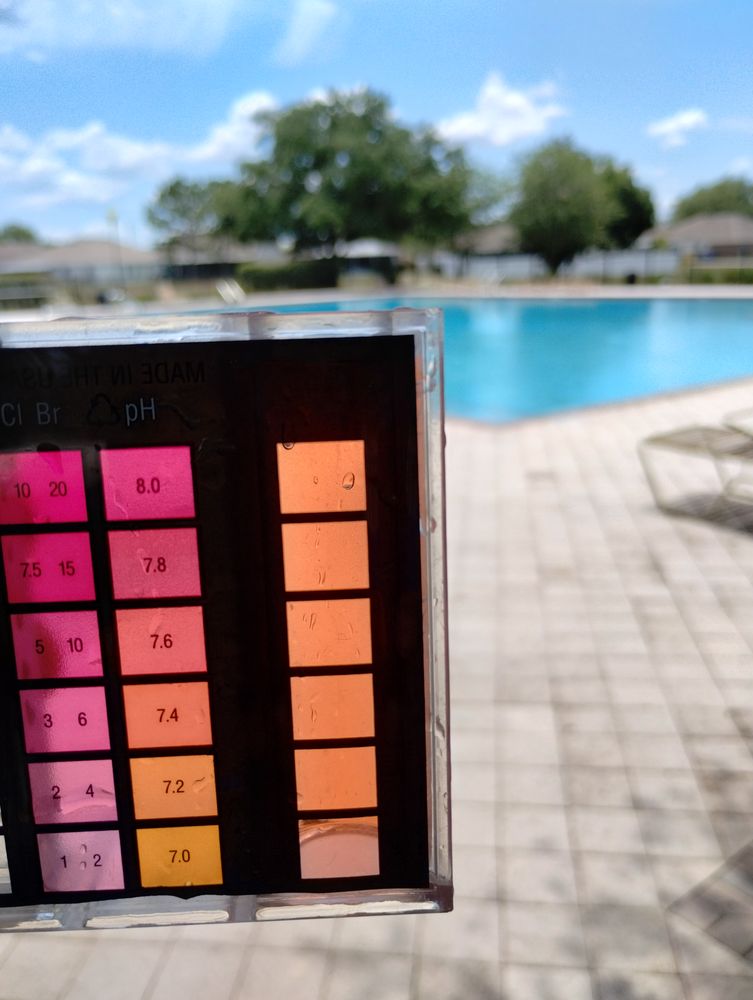 KAIZEN POOLS - Updated June 2024 - 39 Photos - RIVERVIE, Florida - Pool ...