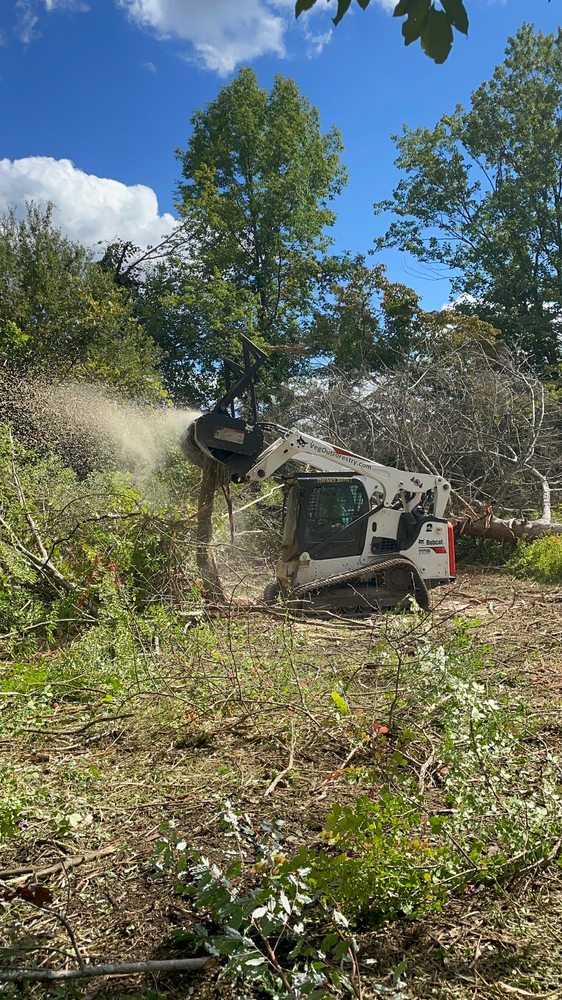 VEGOUT FORESTRY - 290 High Plains Dr, Orange, Connecticut - Landscaping ...