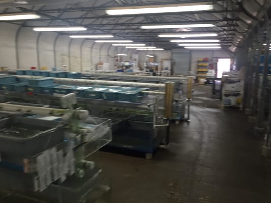 SEGREST FARMS - Updated December 2025 - 10 Photos - 6180 Big Bend Rd ...