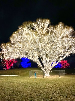 DRAPER CITY PARK - Updated December 2025 - 83 Photos & 24 Reviews ...