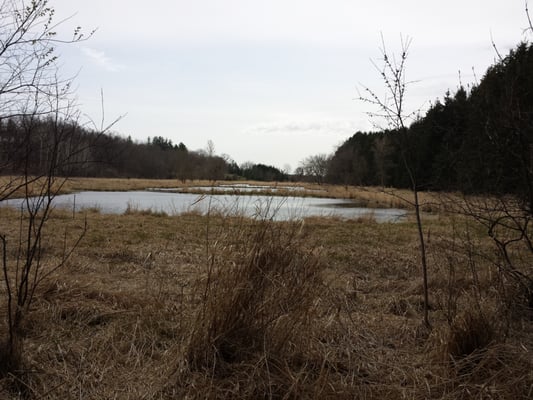 GLACIER HILLS PARK - Updated December 2025 - 13 Photos - 1664 Friess ...