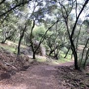 MT. BURDELL OPEN SPACE PRESERVE - 163 Photos & 41 Reviews - Hiking ...