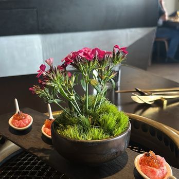 YAKIYA - Updated July 2024 - 10009 Photos & 1115 Reviews - 17188 Colima ...