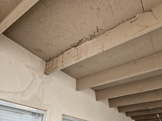 SUNNOVA - Updated January 2026 - 87 Photos & 405 Reviews - 20 Greenway ...