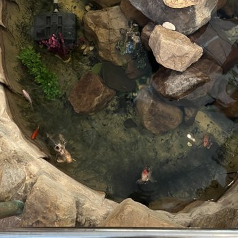 FUJI STEAK HOUSE NEEDHAM - Updated December 2025 - 54 Photos & 169 ...