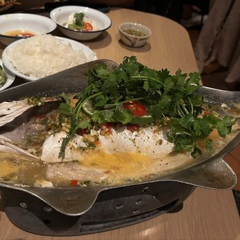 KALAYA - Updated December 2024 - 1500 Photos & 402 Reviews - 4 W Palmer ...