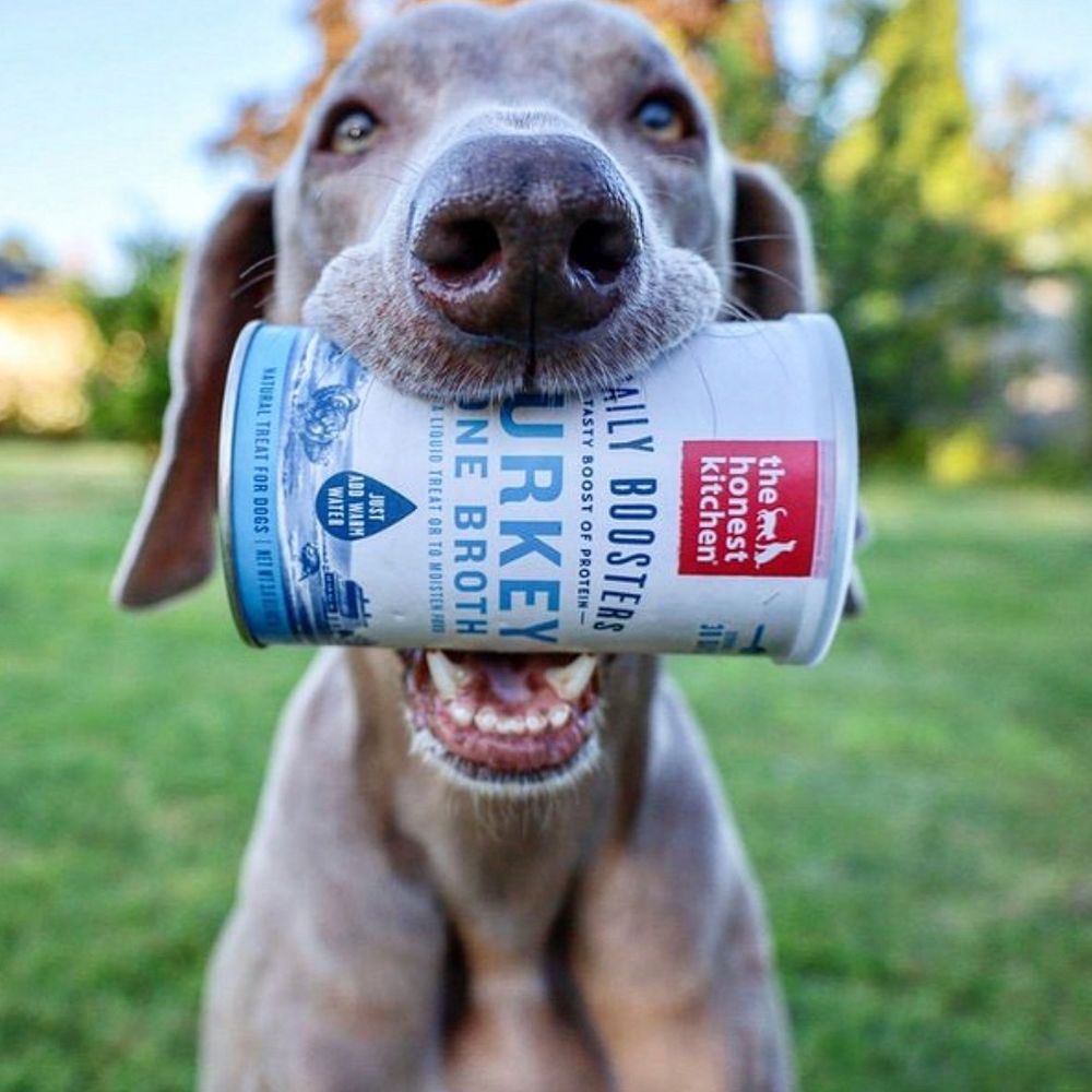 PAWS PET FOOD - Updated September 2025 - 329 Photos & 21 Reviews ...