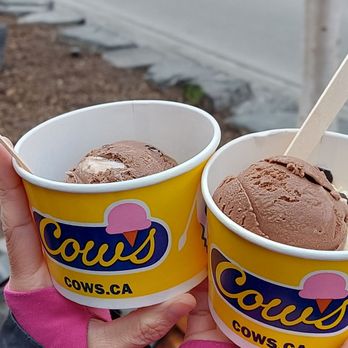 COWS - Updated May 2025 - 301 Photos & 191 Reviews - 138 Banff Avenue ...