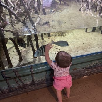 BIOMES - Updated September 2025 - 145 Photos & 87 Reviews - 6640 Post ...