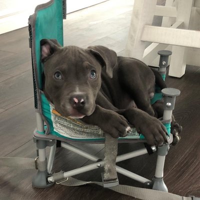 HUMANE ANIMAL HOSPITAL - 73 Photos & 108 Reviews - 9257 Sierra Ave ...