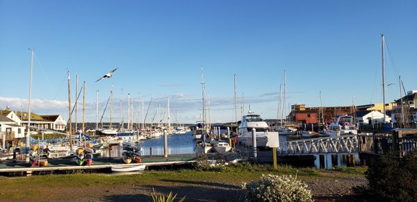 POINT HUDSON MARINA & RV PARK - Updated December 2025 - 18 Photos & 20 ...