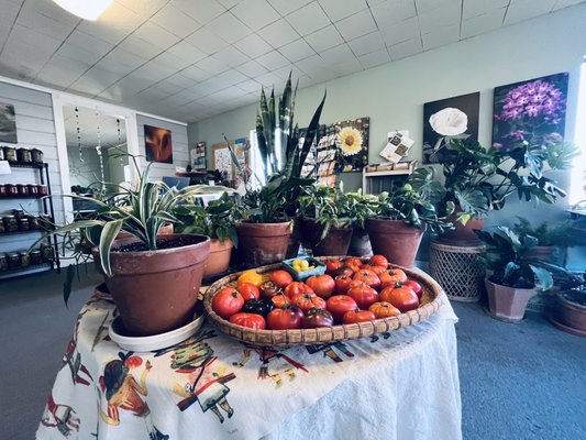 THE NATIVE GARDEN - Updated January 2026 - 26 Photos & 10 Reviews - 602 ...