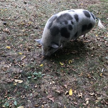 NATURAL VALLEY RANCH - Updated November 2025 - 40 Photos & 21 Reviews ...