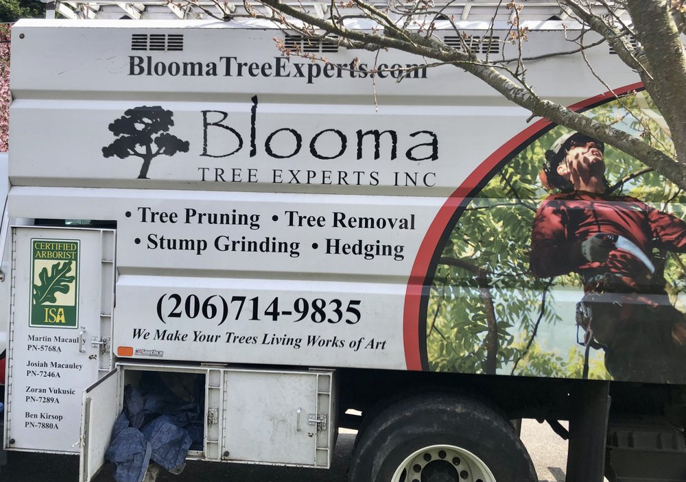 BLOOMA TREE EXPERTS - 10 Photos & 77 Reviews - Tree Services - Seattle ...