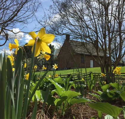 HIGH POINT MUSEUM - Updated March 2025 - 92 Photos - 1859 E Lexington ...