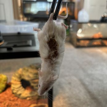 THAT FISH PLACE - THAT PET PLACE - Updated December 2025 - 149 Photos ...