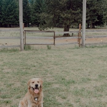 SILVER RIDGE RANCH - Updated October 2025 - 96 Photos & 19 Reviews ...