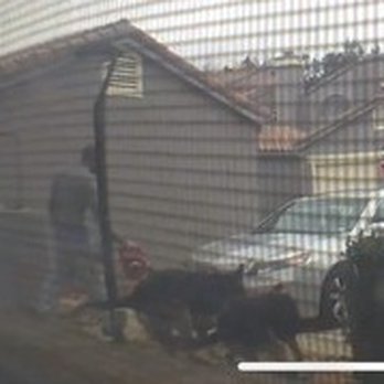 REALMANAGE DALLAS - Updated December 2025 - 22 Photos & 60 Reviews ...