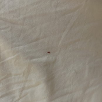 SHILO INNS SALEM - Updated October 2024 - 96 Photos & 84 Reviews - 3304 ...