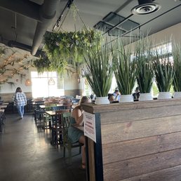 MOLÉ RESTAURANT - Updated October 2025 - 261 Photos & 185 Reviews ...