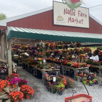 NALLS FARM MARKET - Updated February 2025 - 26 Photos & 39 Reviews ...