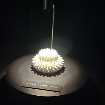 WONDERSPACES - AUSTIN - Updated October 2025 - 514 Photos & 197 Reviews ...