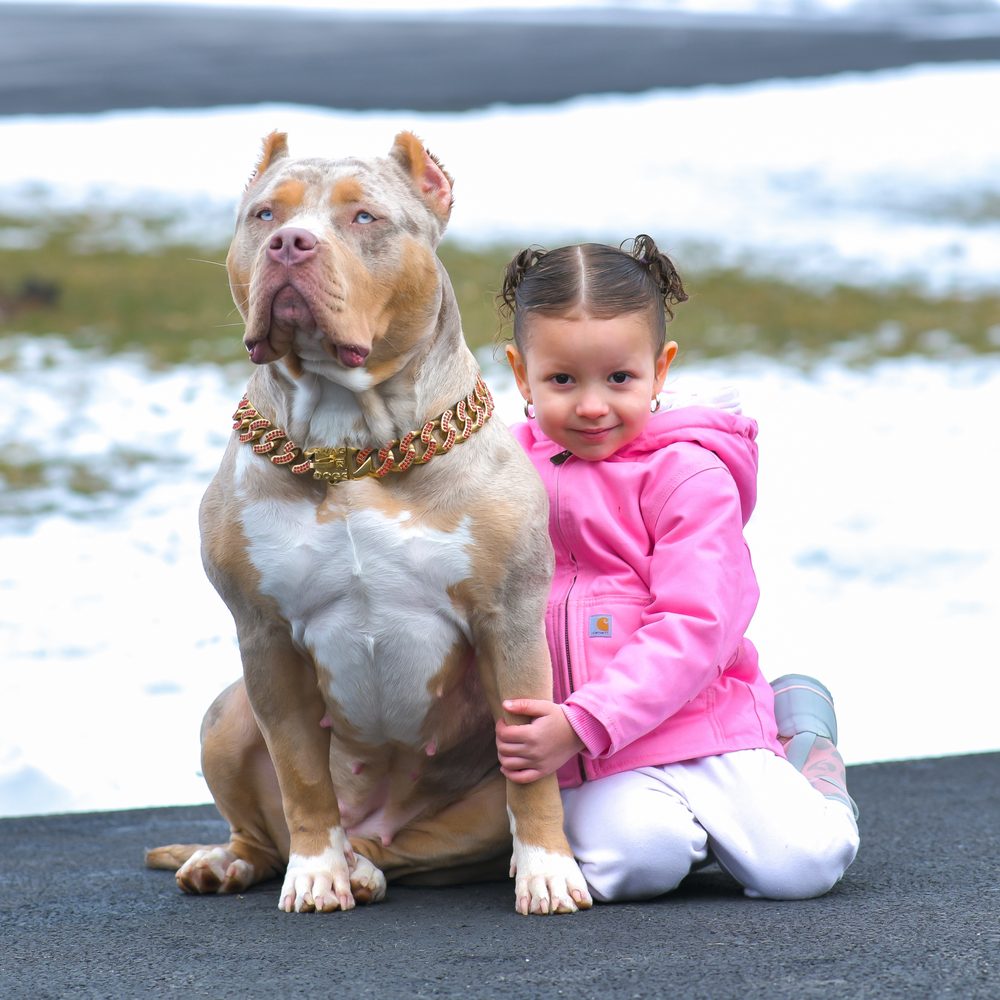 SWAG KENNELS - Updated October 2024 - Request Information - 47 Photos ...