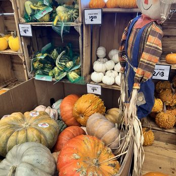 SPROUTS FARMERS MARKET - Updated December 2025 - 73 Photos & 127 ...