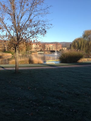 WATCHTOWER FARMS - Updated October 2024 - 24 Photos - 900 Red Mills Rd ...