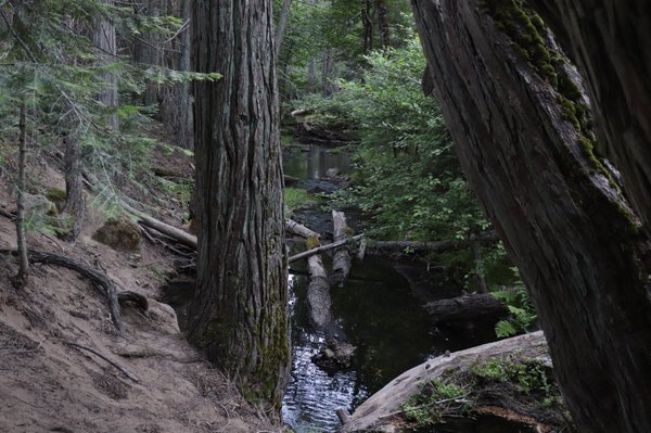 ESHOM CAMPGROUND - Updated June 2025 - 38 Photos & 17 Reviews - 35860 E ...