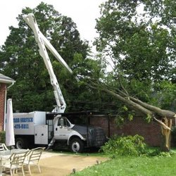 RON’S TREE SERVICE - Tree Services - 10 Majestic Ct, Wilmington, DE ...